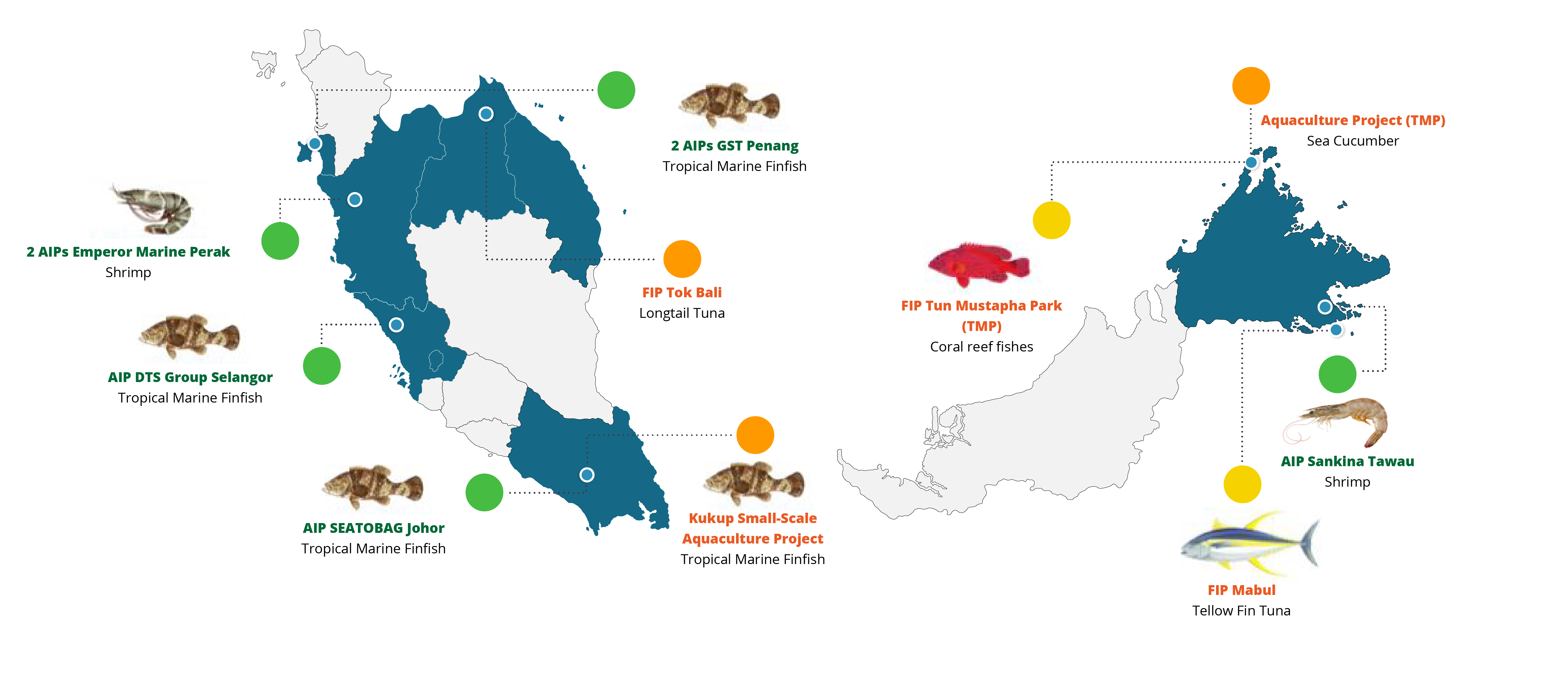 Small-Scale Fisheries Project (SSFP) - Save Our Seafood